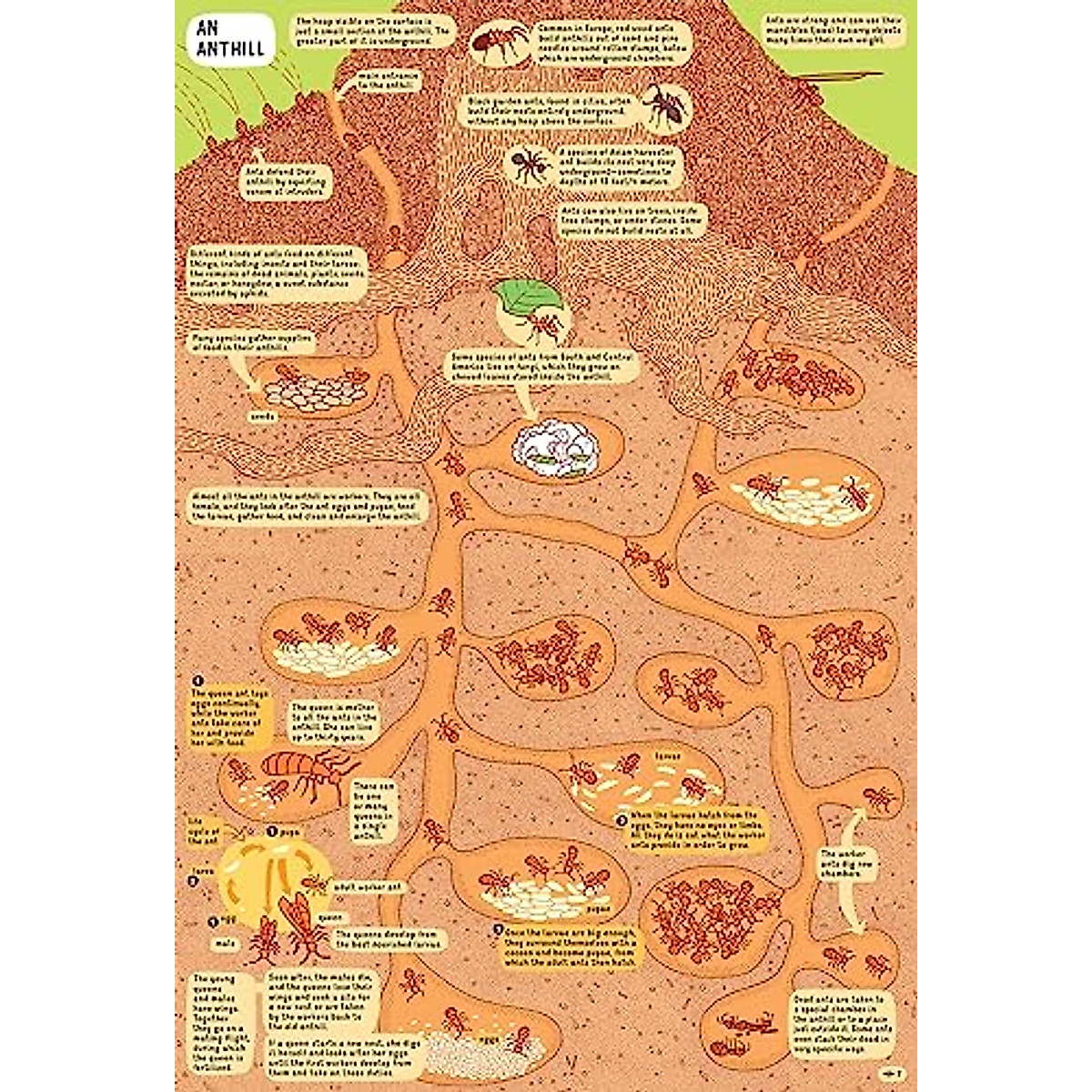 Under Water, Under Earth