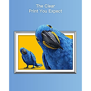 GPC Image Compatible Ink Cartridge Replacement for HP 564XL 564 XL Compatible with DeskJet 3520 3522 Officejet 4620 Photosmart 5520 6510 7520 7525 Printer (4 Photo Black)