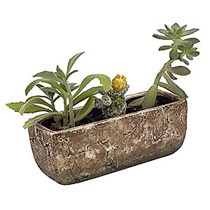 Classic Home and Garden 240001P-432 Dakota Trough, Earth Moss, Large