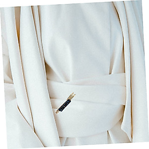 Anneome 2 Pcs Change The Waistband to Small Pins Shirt Pin Brooch Bridal Cape Sweater Shawl Clip Women Clothes Brooch Clothes Pin Women Sweaters Miss Cardigan Skirt Rhinestones