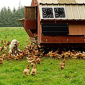 Solar Panel Fan Kit 10W 12V Solar Powered Dual Fan Waterproof Solar Exhaust Fan Outdoor Portable Solar Ventilation Fan Solar Attic Fan with Cable for Chicken Coop Greenhouse Shed Pet Houses Window