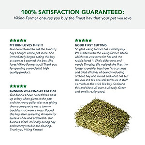 Viking Farmer 1st Cut Timothy Hay, 8 lbs