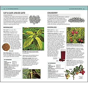Herbal Remedies Handbook: More Than 140 Plant Profiles; Remedies for Over 50 Common Conditions