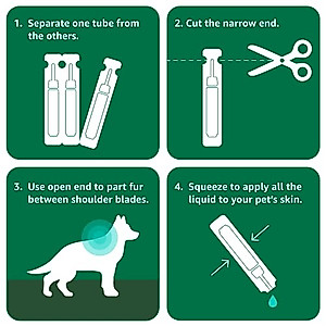 Amazon Basics Flea, Tick & Mosquito Topical Treatment for Small Dogs (4-10 pounds), 6 Count (Previously Solimo)