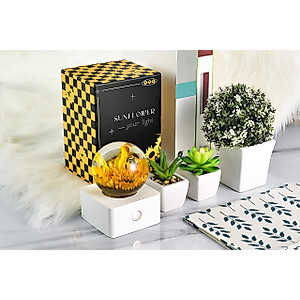 MISS LI GARDEN Forever Flower Special Edition,Teddy Sunflower Crystal Ball with LED Lights,Elegant Present for Girlfriend Wife Mom Women Enchanted Birthday Anniversary Wedding Home Décor