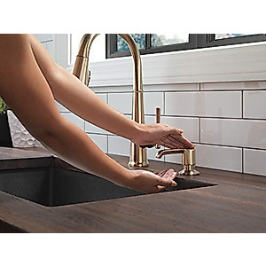 Delta Faucet Emmeline Gold Kitchen Faucet, Kitchen Faucets with Pull Down Sprayer, Kitchen Sink Faucet, Gold Faucet for Kitchen Sink with Magnetic Docking, Lumicoat Champagne Bronze 9182-CZ-PR-DST