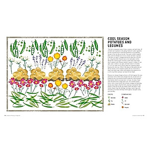 Companion Planting for Beginners: Pair Your Plants for a Bountiful, Chemical-Free Vegetable Garden