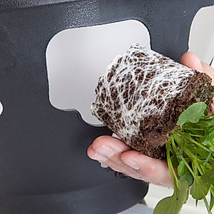 Ultimate Hanging Baskets - Strawberry, Tomato, Flower, and Herb Outdoor Planters - Use Garden Pots For Growing Plants Outside On A Deck, Fence, or Balcony (2, Mocha)