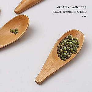 5 Pieces Mini Wooden Spoons, Small Salt Spoon with Short Handle Mini Wood Scoop for Spice Jars Tea Coffee Milk Powder, Natural Color