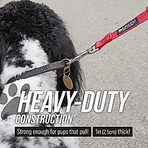 Leashboss Short Dog Leash for Dog Training | Padded Traffic Handle Short Leash for Dog Training, Total Comfort When Dog Walking | Traffic Leash for Dogs Large, Medium, Small | Short Nylon Dog Lead