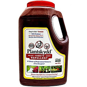 Plantskydd PS-VRD-8 Granular Animal Repellent for Deer, Rabbits and Voles, Also for Deer, elk, Moose, Hares, Voles, Squirrels, Chipmunks and Other Herbivores; 8 LB Granular Shaker Jug (8 lb)