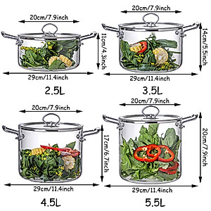 Hgjgwqh Clear Glass Pot for Cooking Large Glass Saucepan with Cover on Stove Big Glass Simmer Pot with Stainless Steel Handle Stovetop Cooking Pot Glass Cookware Pot for Home Kitchen Restaurant,4.5L