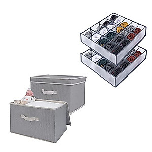 GRANNY SAYS Bundle of 2-Pack Closet Bins with Lids for Storage & 2-Pack Socks Storage Organizers