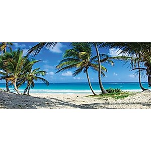 Carolina Custom Cages Reptile Habitat Background, Tropical Beach and Palm Trees, 15.75" x 36"