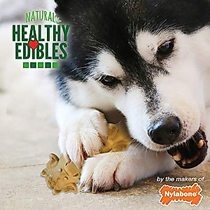 Nylabone Healthy Edibles Farm Friends Grain Free Dog Treats Beef, Chicken, Bacon, & Lamb Large/Giant (2 Count)