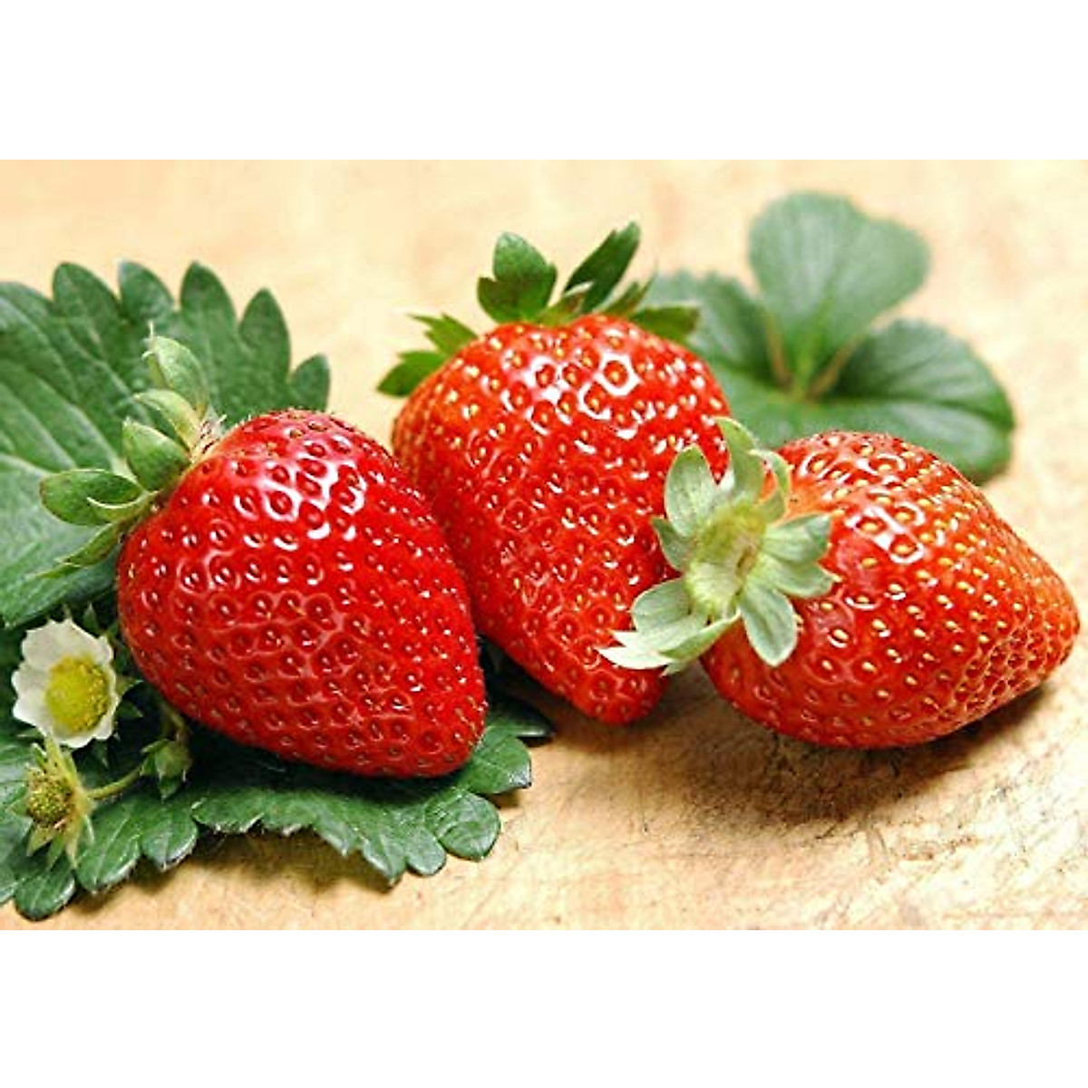 200pcs Giant Strawberry Seeds, Sweet Red Strawberry Garden Strawberry Fruit Seeds, for Garden Planting