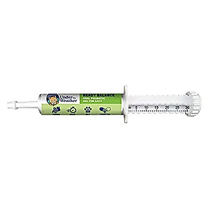 Under the Weather Pet | Ready Balance for Cats | Oral Probiotic and Prebiotic Gel | Maximum Strength Digestive Support | Beneficial Bacteria, Live Probiotics, Vitamins & Prebiotic Inulin