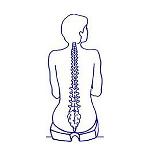 Extra Firm Tush Cush Car Computer Airplane Travel Seat Cushion Black