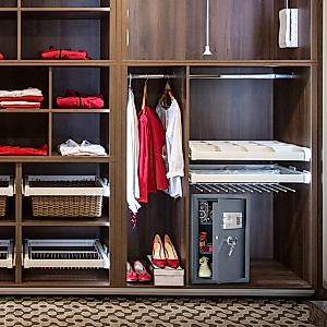 Digital Safe - Home or Office Locked Box for Money, Handguns, Jewelry, and Important Documents by Paragon Safes (Dark Gray)