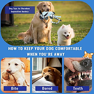 MenPetsonline Blue Dog Toys - Squeaky Dog Toys,Interactive Chew Toys for Small,Medium and Large Dogs,Ugly Dog Toys to Keep Them Busy