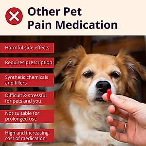 Glacier Peak Holistics HerbAprin - Natural Pain Relief for Dogs, Organic Herb Blend for Arthritis, Aches & Pains, and Hip & Joint Discomfort - 3oz