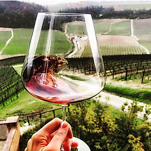 Zalto Denk'Art Bordeaux Wine Glass Hand-Blown Crystal | Boxed Set of 6