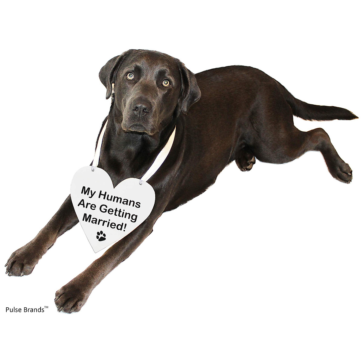 Pulse Brands Engagement Photo Prop Sign - My Humans are Getting Married - Engagement Gifts - Bride to Be - Engaged - Engagement Gifts for Couples (White)