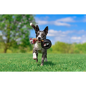 Mammoth TireBiterII with Cotton-Poly Rope – Natural Rubber Dog Toys for Extreme Chewers – Dog Toys for Extra Long Interactive Play – Aggressive Chewer Toys for Medium - Large Dogs - Large 6”