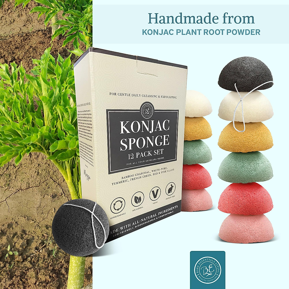 Bare Essentials Living - Konjac Sponges Set (12 Pack) with Activated Bamboo Charcoal Facial Sponge, Natural Sponge, Great for Facial Sponges, Bath Sponge, Beauty Sponge, and Exfoliating Body Sponge