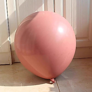 Balloon Garland Arch Kit Comes With A Balloon Pump 167 Pcs 5 To 18 Inches Macaron Colorful Thicken Balloons Used for Wedding Decoration Birthday Party Baby Shower Supplies (Pink-Gray)