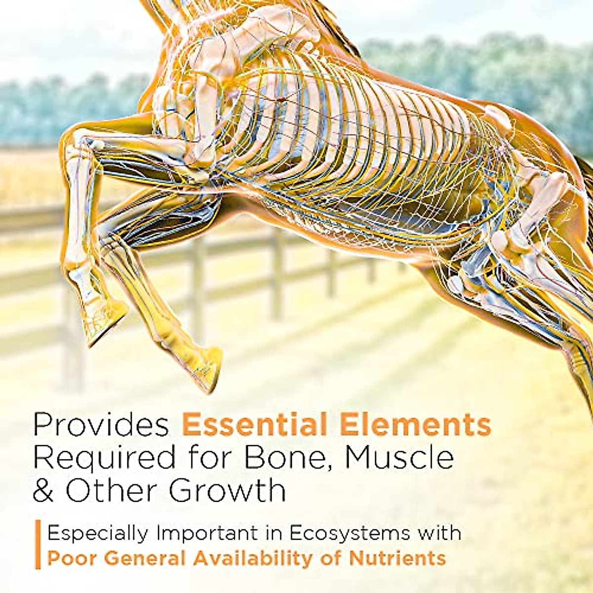 UMAID Compressed Pink Himalayan Salt Lick, [2 Pack] – 5.5 Lb. 100% Natural Himalayan Salt Block with Hanging Rope Helps Replace Lost Electrolytes for Deer, Horse, Cow, Goat, Pigs, Wild Animals & Pets