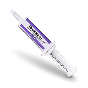 Pet Health Solutions FloraCare G.I. for Dogs & Cats - Dietary Supplement Paste - Healthy Intestinal Tract, Digestion, Bowel Health - Vitamin, Protein, Fat, Fiber - 60 CC,RAPIDCARE60CC