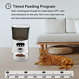KaLoken Automatic Cat Feeders 6L, Wi-Fi Smart Pet Feeder for Cat & Dog, Timed Auto Dog Feeder Dry Food Dispenser with App Control, Distribution Alarms and 10s Voice Recorder