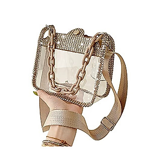 WANLD Clear Women's Crossbody Bag, Stadium Approved - Concert Event Transparent Small Wallet (golden)