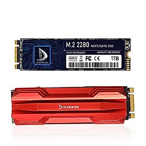 DUOMEIQI 1TB PCIe3.0 M.2 2280 Internal SSD High Performance Solid State Drive up to 520MB/s for Desktop Laptop Computer(1TB NVME + Red Aluminum Heatsink)