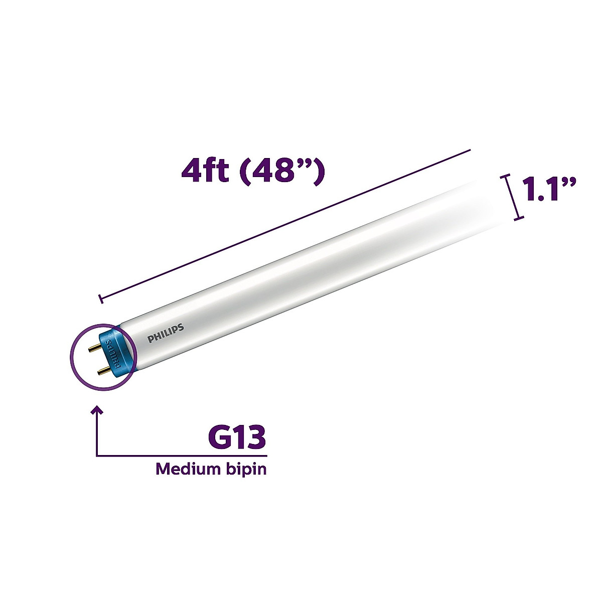 Instantfit 4-Foot T8 Tube Light Bulb, 1800-Lumen, Cool White (4000K), 16W=32W, Medium Bi-Pin G13 Base, 10 Count (Pack of 1)