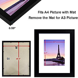RUN HELIX A3 Frame 2 Pack Solid Wood Picture Frame, Display Pictures A4 with Mat or 11.7x16.5 Inch Without Mat, with High Definition Plexiglass, Horizontal and Vertical Formats for Wall