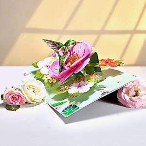 LoveEcho Birthday Card, Hover Hummingbird Pop Up Card, 5x7-3D Greeting Card with Note Card & Envelope for Birthday, Anniversary, Thank You, Thanksgiving, Christmas, Get Well, Thinking of You, Congrats, or Any Occasion, For Her, Women, Wife, Mom, Grandma,
