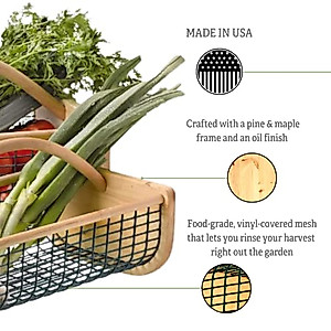 Gardeners Supply Company Large Garden Hod Harvest Basket | Versatile Gardening Fruits & Vegetables Gathering Basket | Natural Smooth Pine - Maple Frame & Coated Mesh | Easy to use - 9"L x 11"W x 11"H