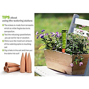 B SEPOR Ceramic Plant Waterer Set of 6 Pack Terracotta Self Watering Spikes,Wine Bottle Plant Watering Devices for Vacation (6Pack)