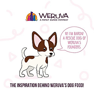 Weruva Dog Meals 'n More Natural Wet Dog Food, Belly Belly Nice! Digestive Support Variety Pack, 3.5oz Cup (10 Cups)