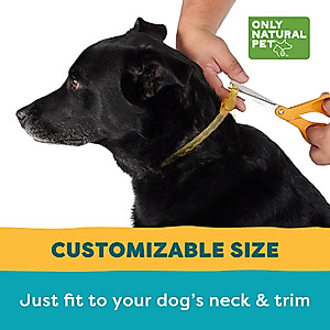 Only Natural Pet EasyDefense Flea & Tick Dog Collar - Canine Flea Collars Flea and Tick Control - Pet Flea Care That Protects up to 4 Months - for Dogs (2 Pack)