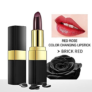 Axnzp Magic Temperature Changing Colors Lipstick,Long Lasting Waterproof Magic Color Changing Lipstick, Lip Stain Gloss Moisturizing for Women(Black Change into Brick Red)