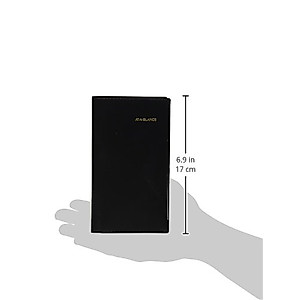 At-A-Glance Deluxe Pocket Monthly Planner (AAG7006405)