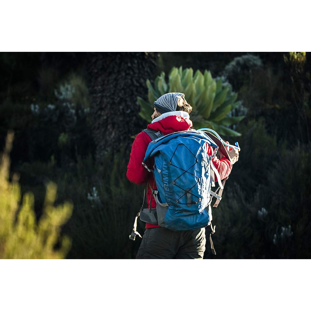 Sea to Summit Flow Drypack 35-Liter Daypack for Skiing and Hiking, Royal Blue