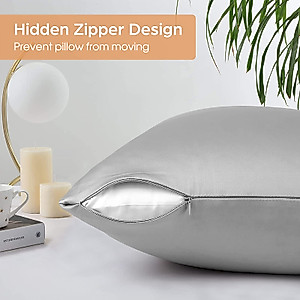 Veaken Silk Pillowcase for Hair and Skin, 2 Pack 100% Mulberry Silk Pillowcase 25 Momme, 600 Thread Count, Both Side Pure Silk Pillow Cover with Hidden Zipper (Gray, Queen 20''×30'')