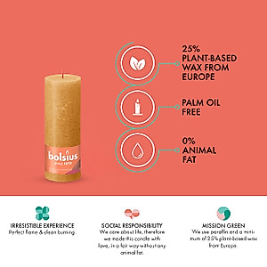 BOLSIUS 4 Pack Yellow Rustic Pillar Candles - 2.75 X 7.5 Inches - Premium European Quality - Includes Natural Plant-Based Wax - Unscented Dripless Smokeless 85 Hour Party Décor and Wedding Candles