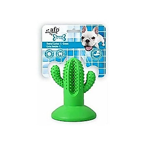 ALL FOR PAWS Dental Cactus Rubber Dog Chew Toy, Medium, Orange, 5.3 kg