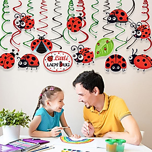 LJCL Ladybug Hanging Swirls Decorations 30ct Colorful Little Lady Bug Ceiling Whirl Streamers Spirals Foil for Baby Shower or Ladybug Birthday Party Decorations Supplies Hanging Decor