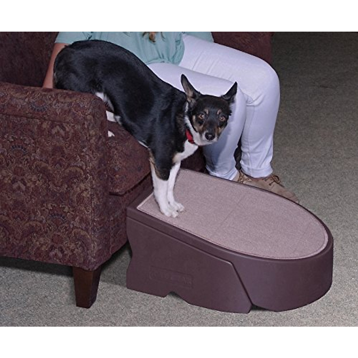 Pet Gear Stramp Stair and Ramp Combination for Dogs/Cats, Easy Step, Lightweight/Portable, Sturdy, Easy Assembly (No Tools Required) 2 Models, 3 Colors